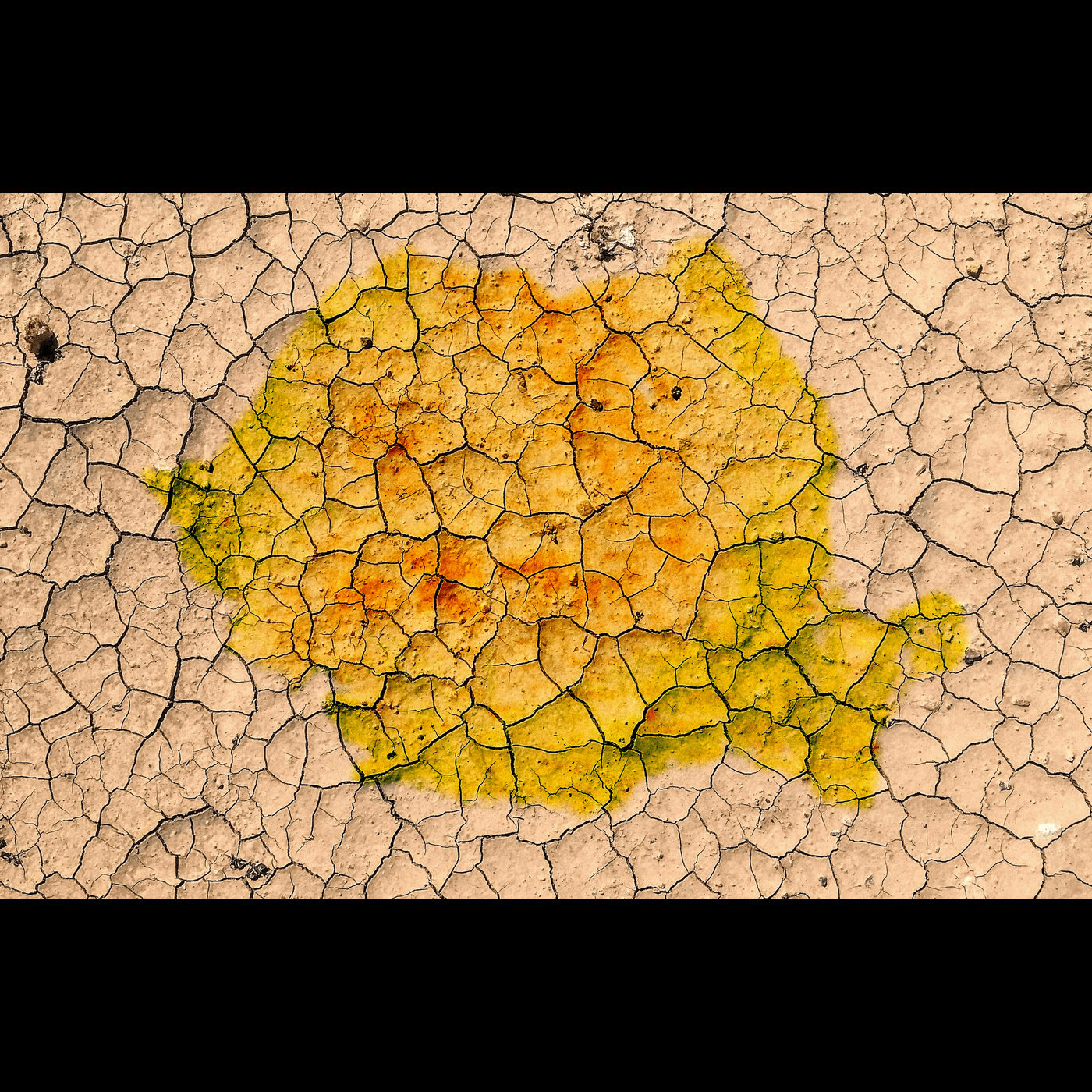 Seceta severă în România: Râuri secate, rezerve de apă în scădere și ...